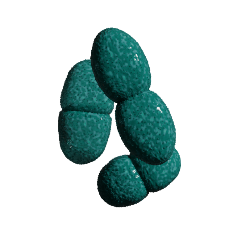 Proficiency Testing 2025 For Enterococcus Hirae Shapypro